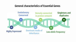Essential Genes of prokaryotes and eukaryotes.pptx