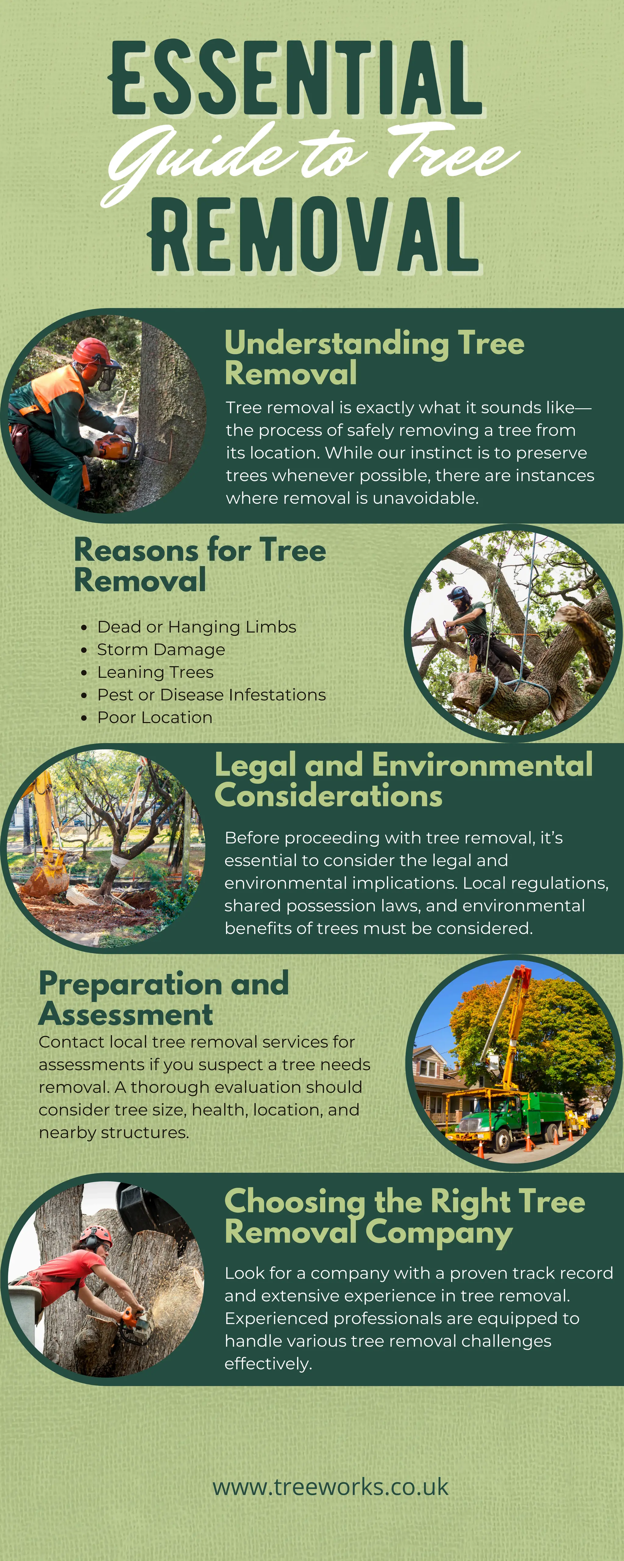 Essential Guide to Tree Removal: What Every Homeowner Should Know | PDF