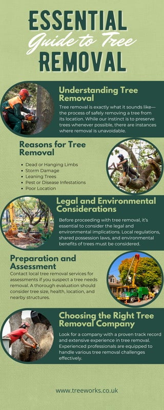 Essential Guide to Tree Removal: What Every Homeowner Should Know | PDF ...