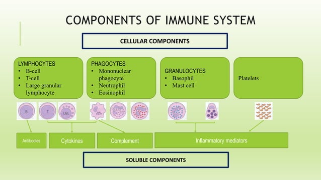 ESSENTIAL IMMUNOLOGY including basics to applied aspects.pptx