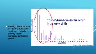 Essential Intrapartum and Newborn Care (EINC).pptx
