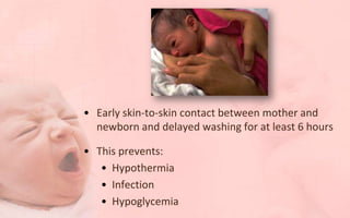 Essential newborn care | PPTX