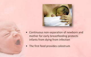 Essential newborn care | PPTX