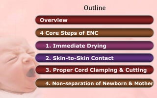 Essential newborn care | PPTX