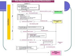 Essential new born care | PPT