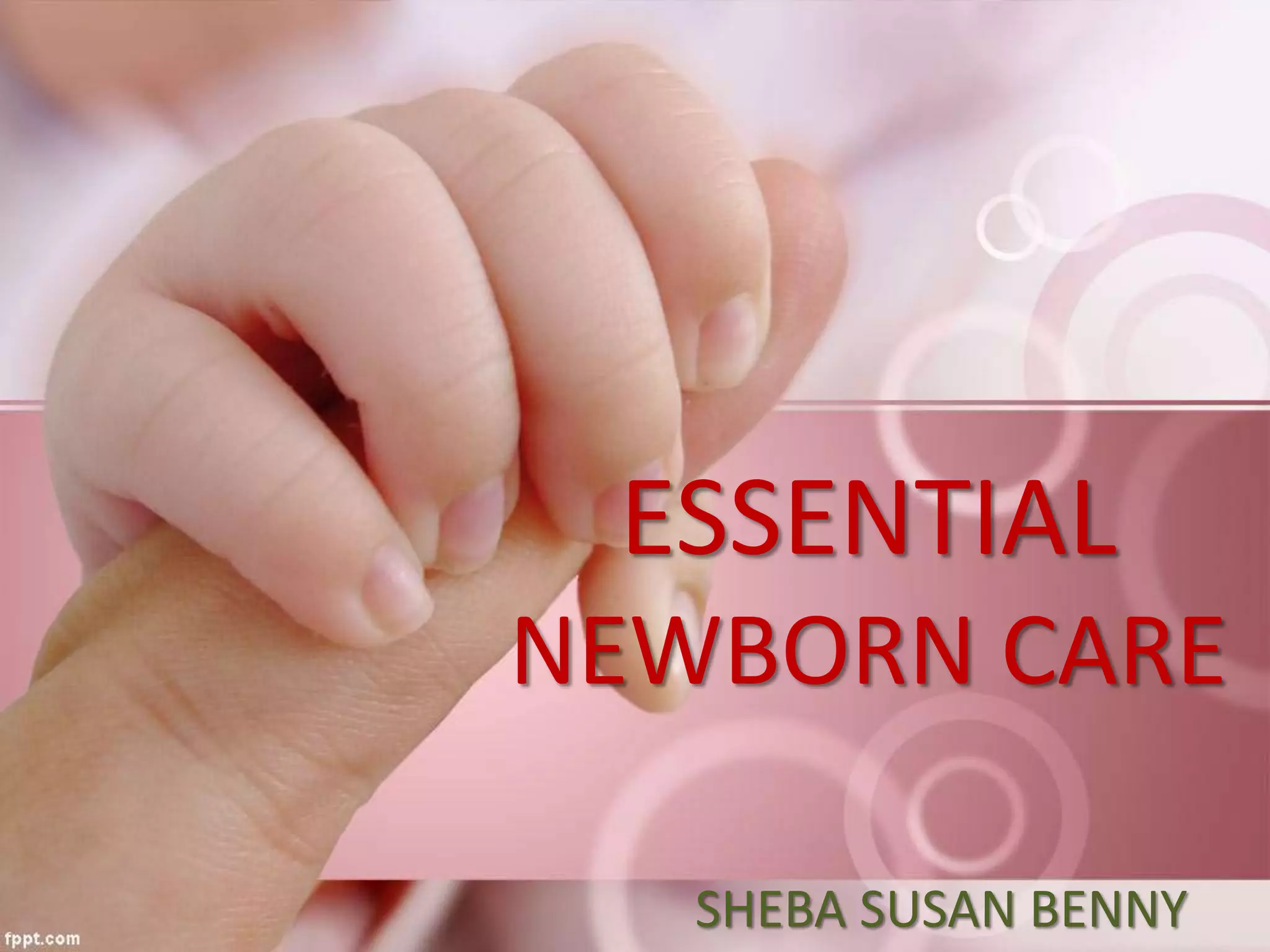 Essential newborn care | PPTX