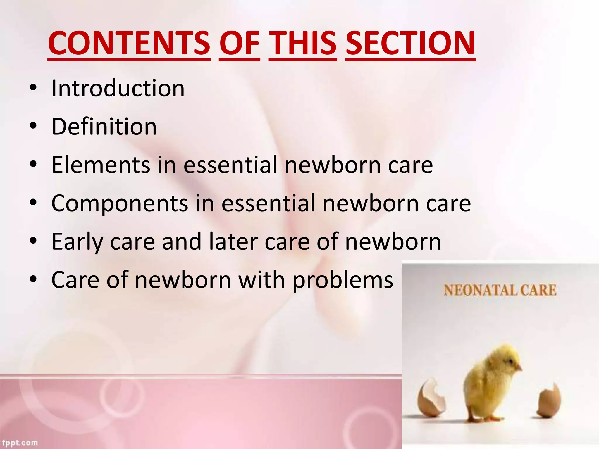 Essential newborn care | PPTX