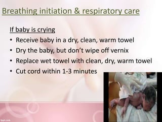 Essential newborn care | PPTX