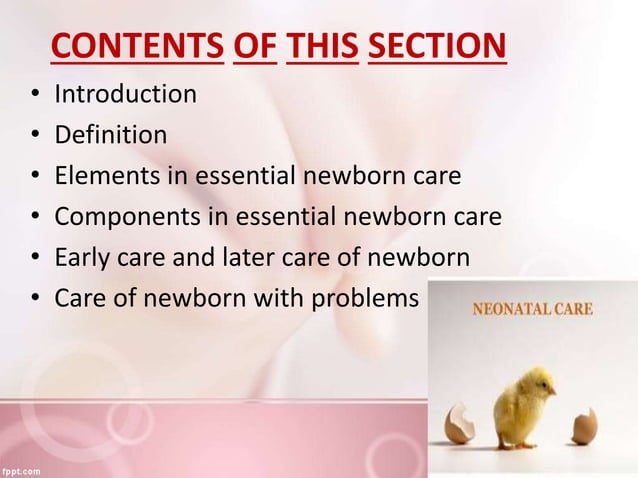 Essential newborn care | PPTX
