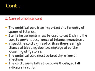 Essential Newborn Care | PPTX