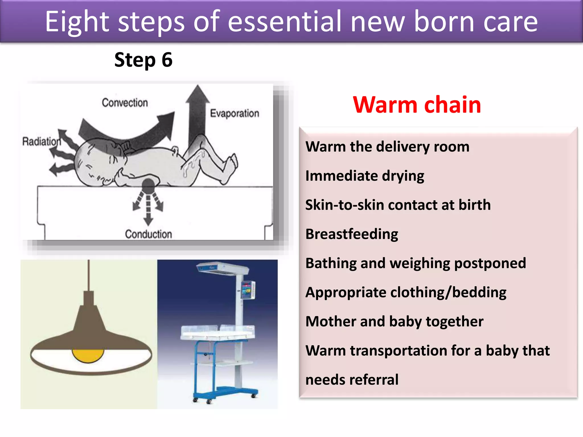 Essential Newborn Care | PPTX