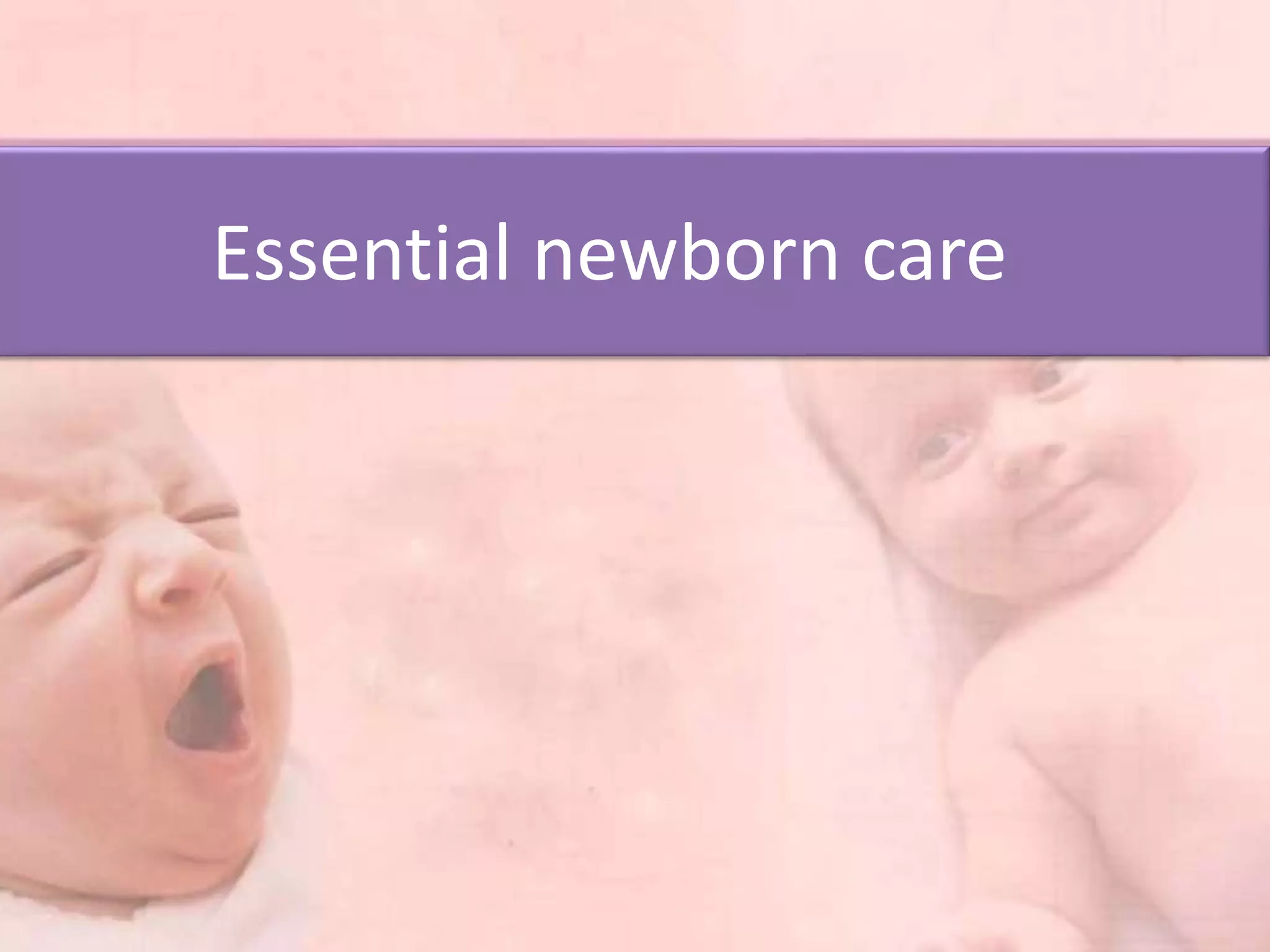 Essential Newborn Care | PPTX
