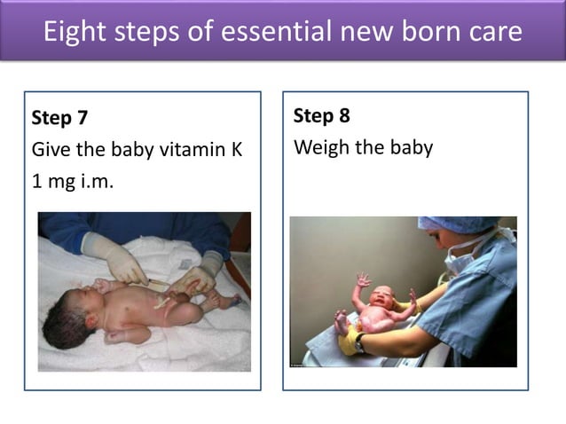 Essential Newborn Care | PPTX | Pregnancy | Reproductive Health