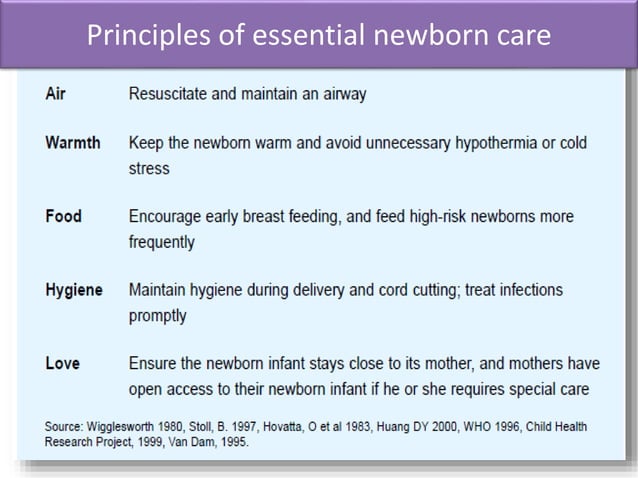 Essential Newborn Care | PPTX | Pregnancy | Reproductive Health
