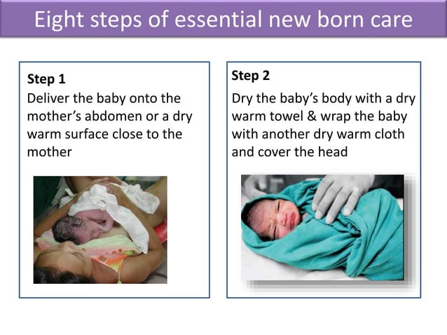 Essential Newborn Care | PPTX | Pregnancy | Reproductive Health