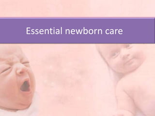 Essential Newborn Care | PPT
