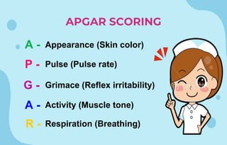 Essential Newborn Care.pdf