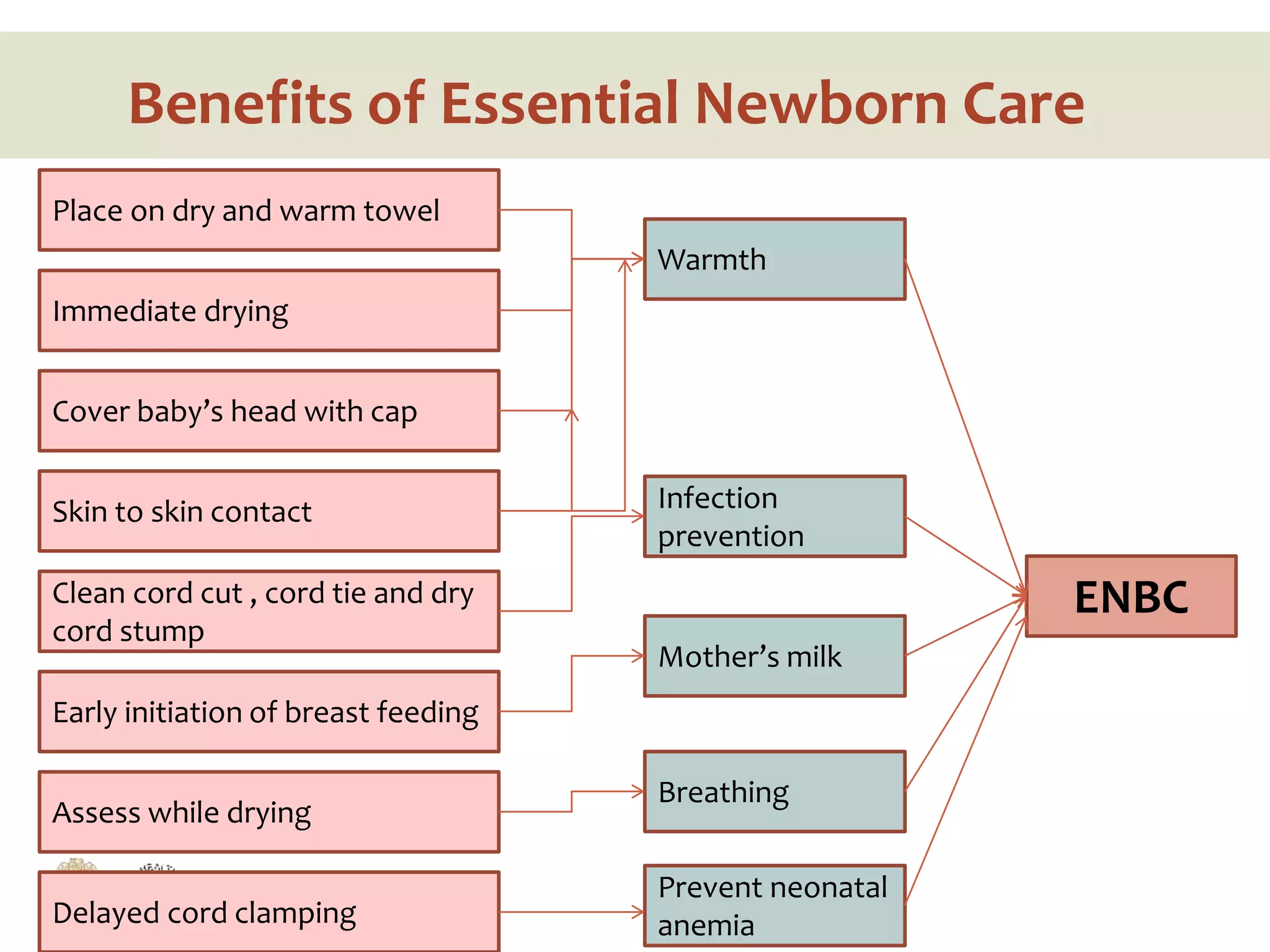 Essential_Newborn_Care.pptx