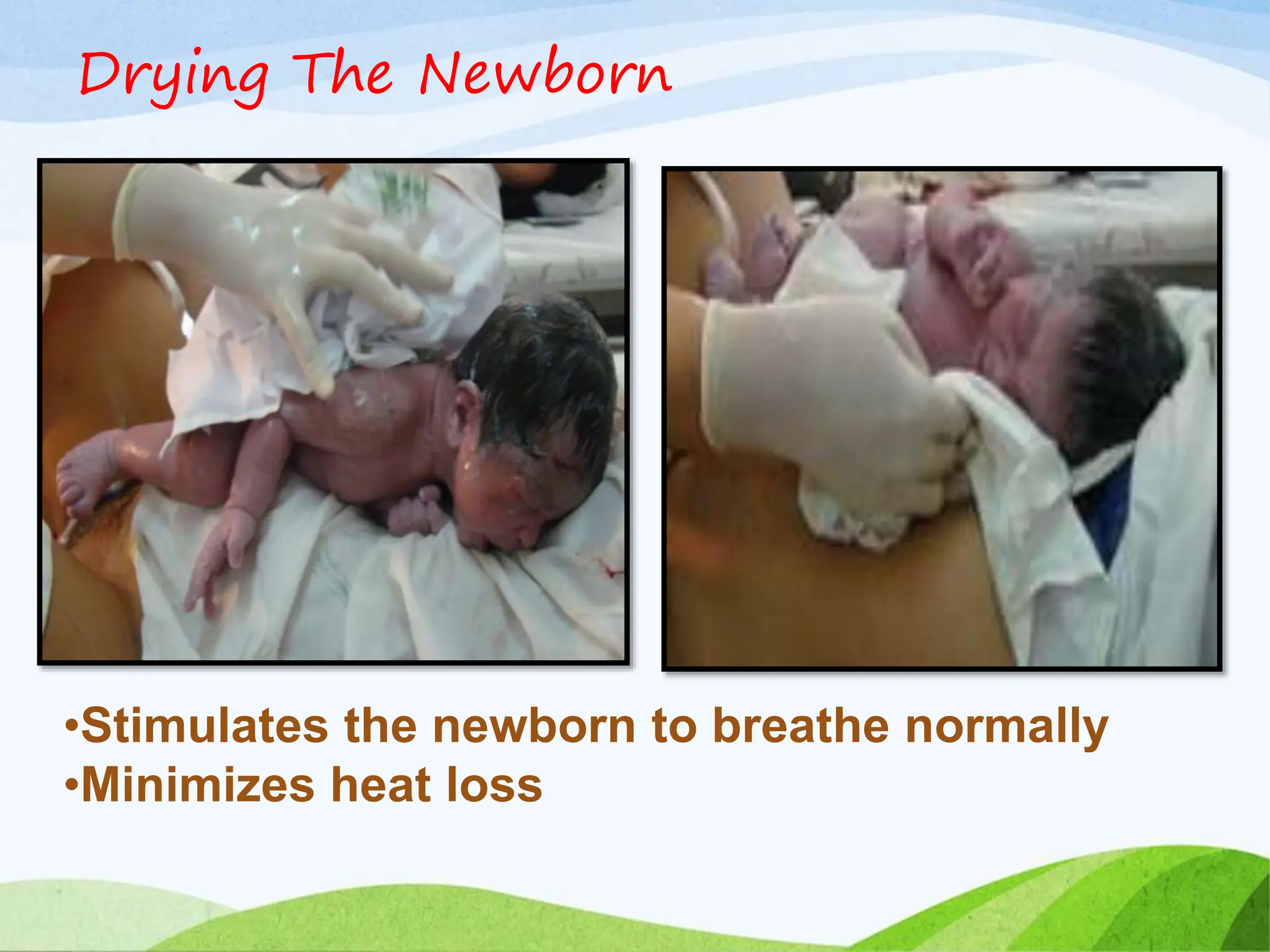 Essential Newborn Care ( 2015-06-18).ppt