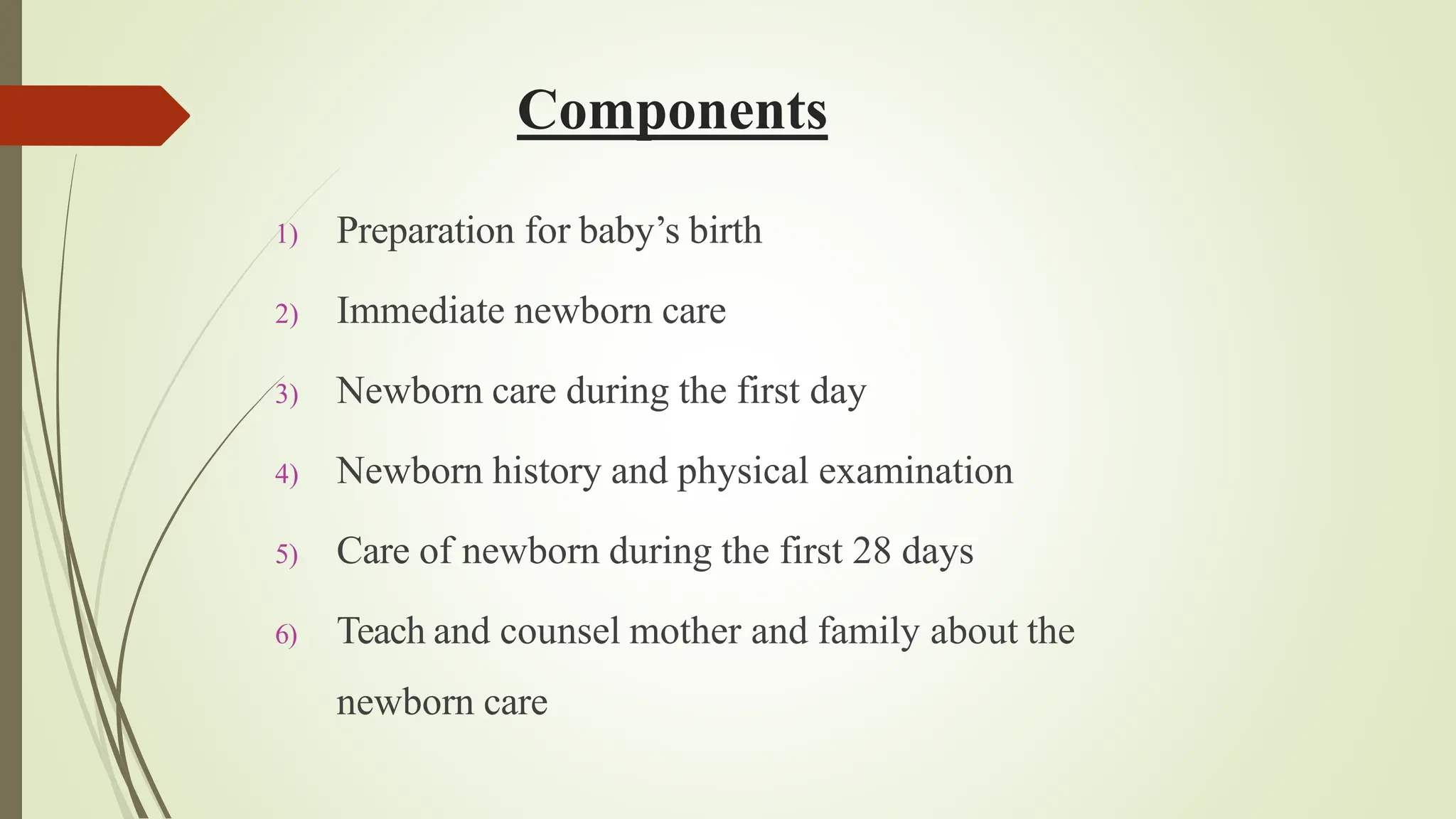 Essential Newborn Care presentation monday.pptx