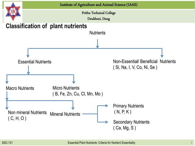 Criteria for nutrient essentiality | PPTX | Agriculture | Industries