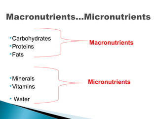 Essential nutrients | PPT