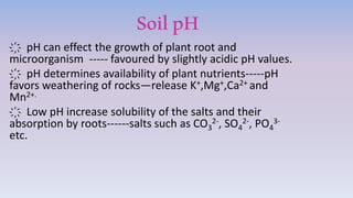 Ion traffic into roots | PPTX