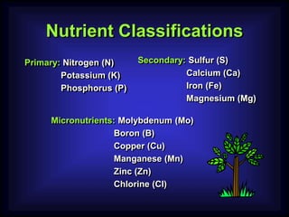 EssentialNutrients.ppt