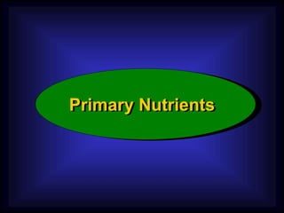 EssentialNutrients.ppt