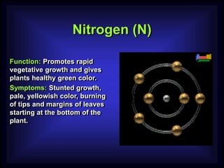EssentialNutrients.ppt