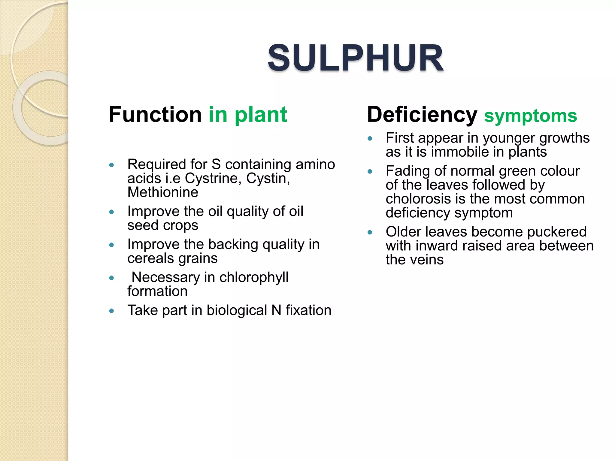 Essential nutrients for plants, their function and deficiency symptoms ...