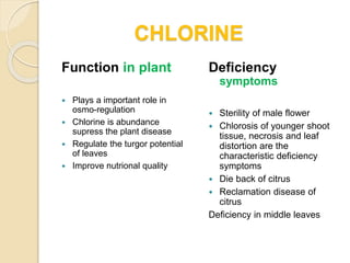 Essential nutrients for plants, their function and deficiency symptoms ...