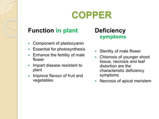 Essential nutrients for plants, their function and deficiency symptoms ...