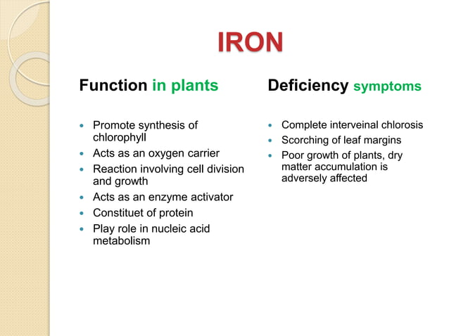 Essential nutrients for plants, their function and deficiency symptoms ...