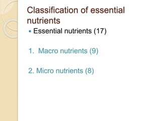 Essential nutrients for plants, their function and deficiency symptoms ...