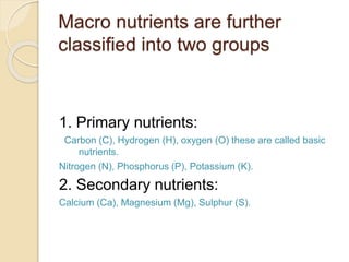 Essential nutrients for plants, their function and deficiency symptoms ...