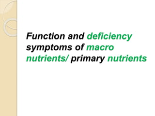 Essential nutrients for plants, their function and deficiency symptoms ...