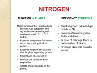 Essential nutrients for plants, their function and deficiency symptoms ...