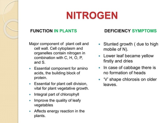 Essential nutrients for plants, their function and deficiency symptoms ...