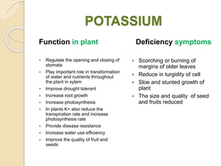 Essential nutrients for plants, their function and deficiency symptoms ...