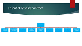 Essential of contract | PPTX