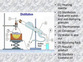 Essential oil | PPT