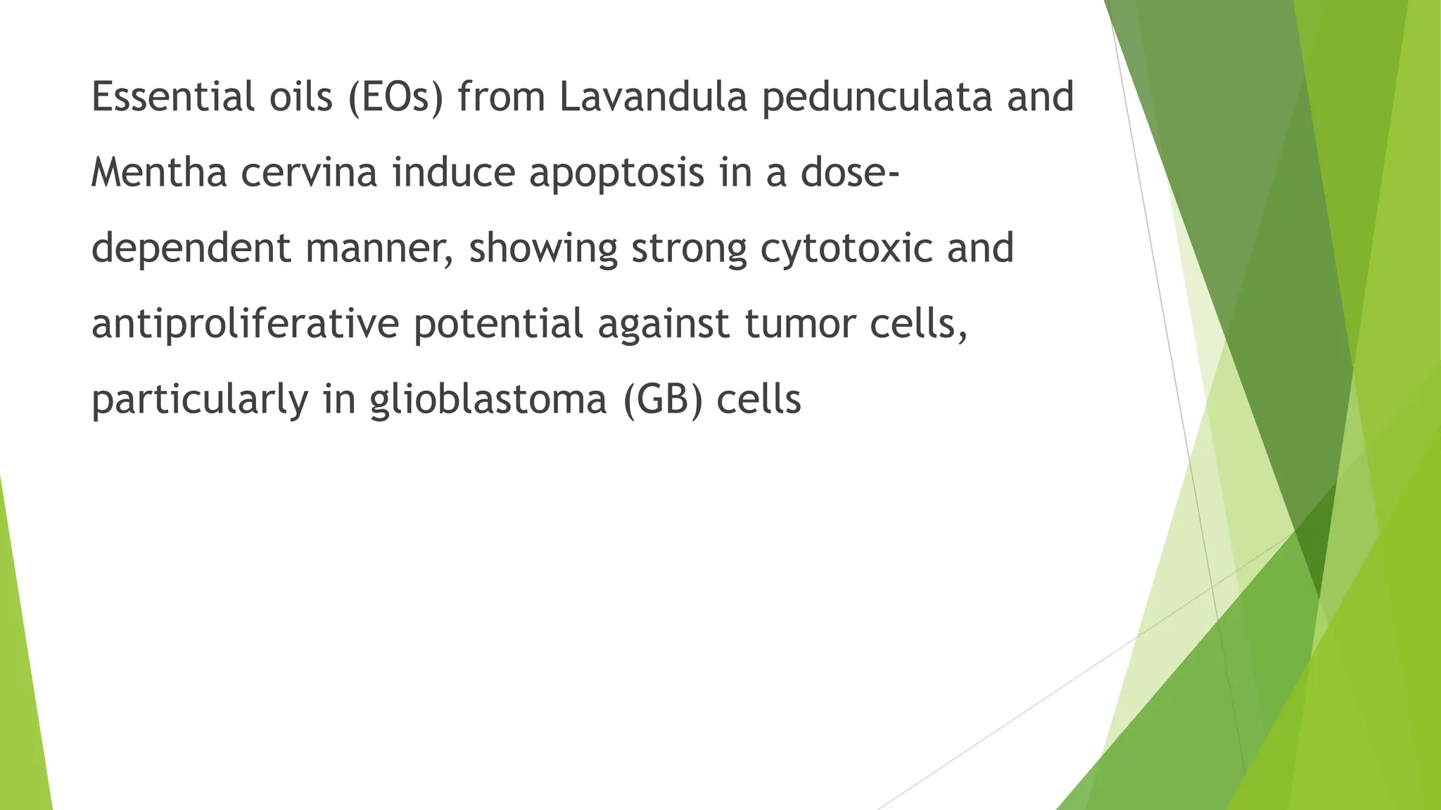 essential oil.ppt lkfjdlgkjaldgkjfakajakfa'flkd | PPTX