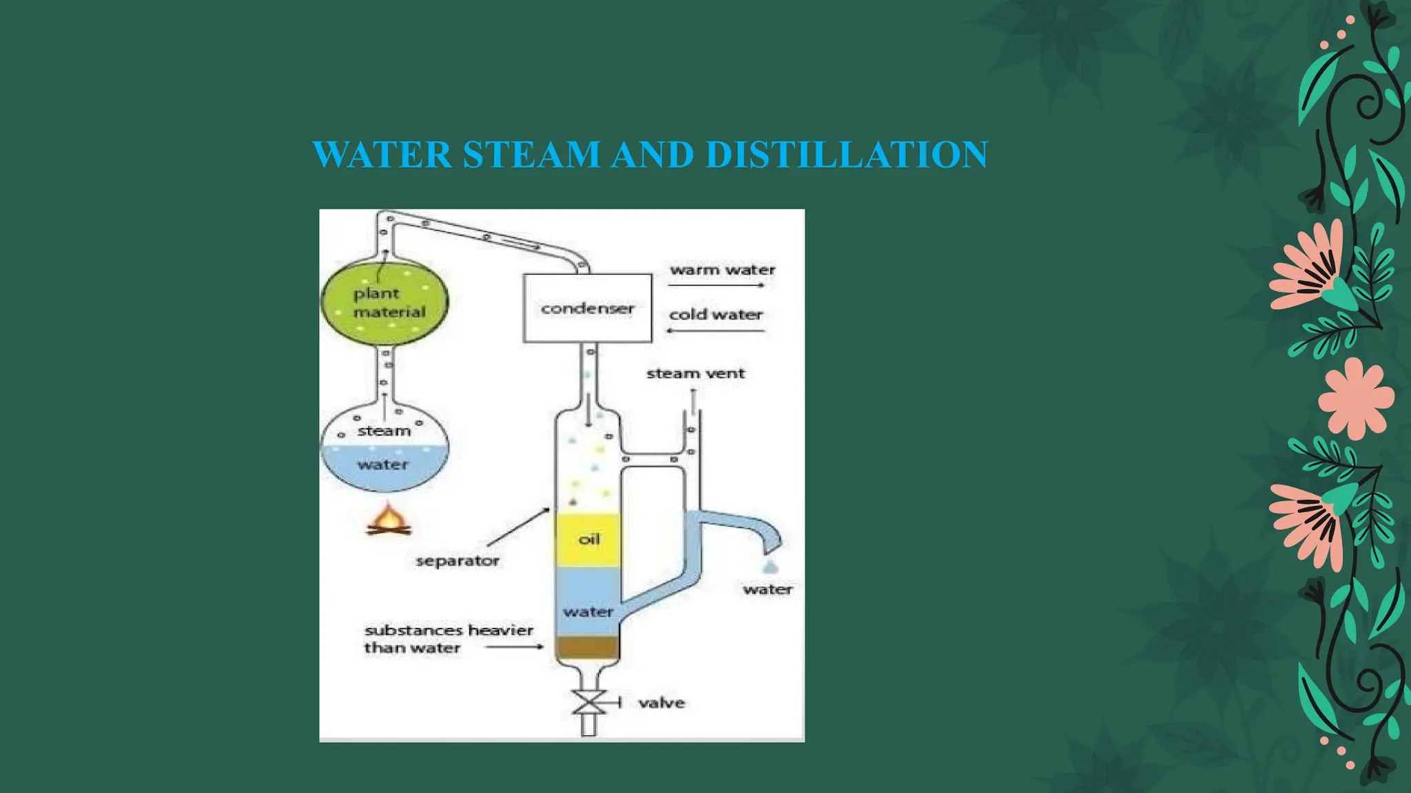 essential oil extraction methods-aromatic crops | PPT