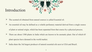 essential oil extraction methods-aromatic crops | PPTX