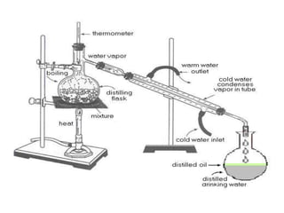 Essential oil extraction methods of aromatic crops | PPTX