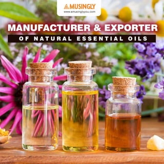 Manufacturing and supply of Essential Oils | PDF | Perfume and ...