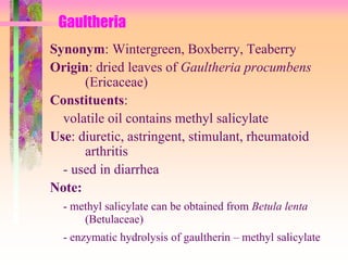 ESSENTIAL OIL VISHNU MOHAN 9995638126 ].ppt