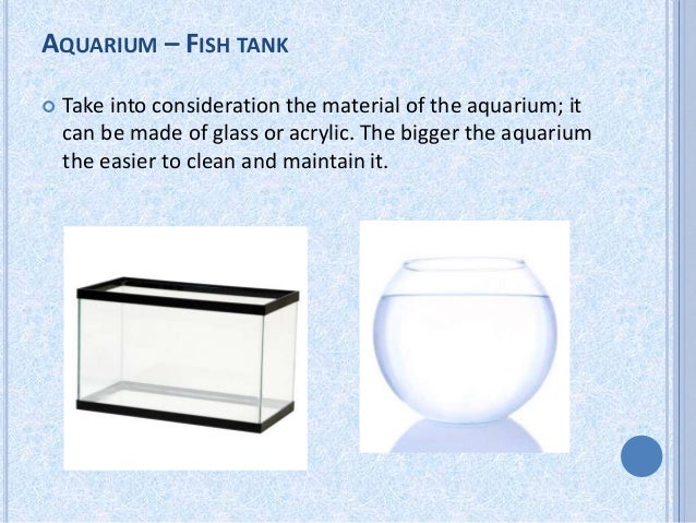 Essential Parts of Kids Aquariums