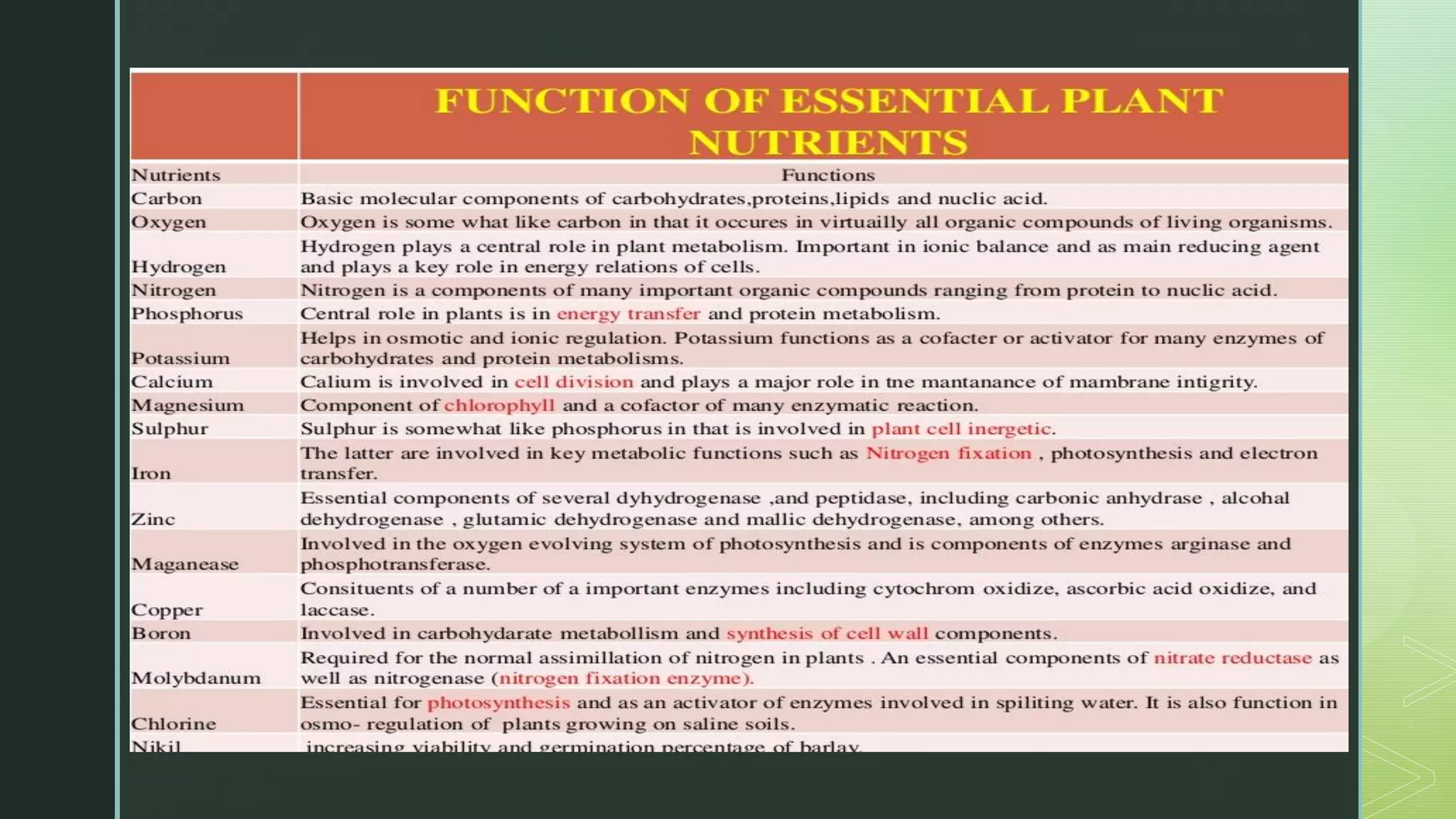 Essential plant nutrients | PDF